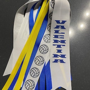 School Fundraising Idea, School Fundraiser, School Spirit Wear, School ...