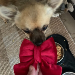 Gingerbread Man Costume Inspired Sailor Bow for Dogs and Cats ...