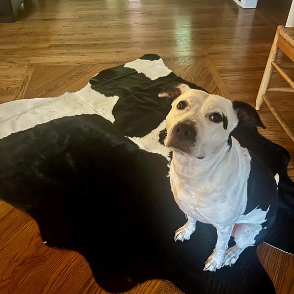 Green Cowhide Rug/ Green Dyed Brazilian Cowhide/ Dyed Emerald Green ...