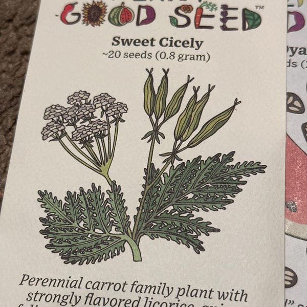 Rama Holy Basil Tulsi Tulasi Seed Packet: Certified Organic Ayurvedic ...