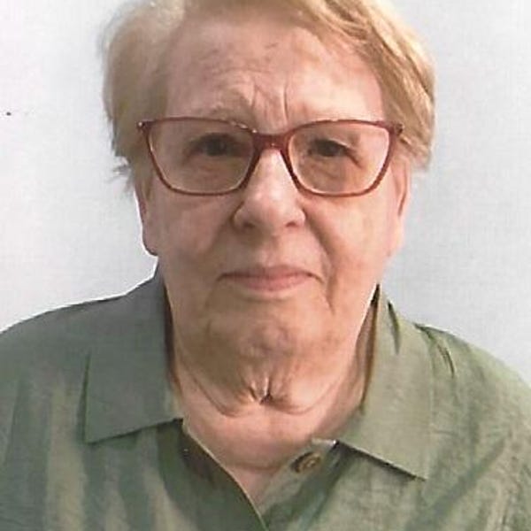 Antique Taxidermy Elk Hoof – 19th Century Natural History Curiosity ...