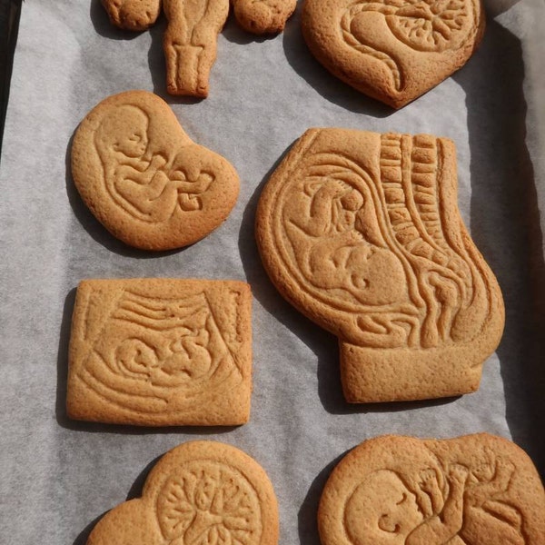 Uterus Cookie Cutter | Womb Anatomy Physiology Medicine Cervical Cancer ...