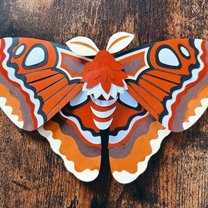Diy Paper Luna Moth Craft Realistic Paper Moth Paper Luna - Etsy