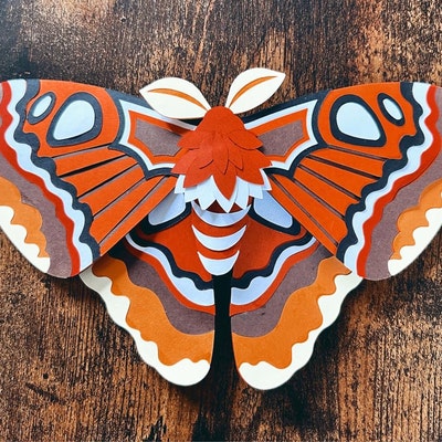 Papercraft 3D Moth Paper Emperor Moth Paper Bug Insect - Etsy