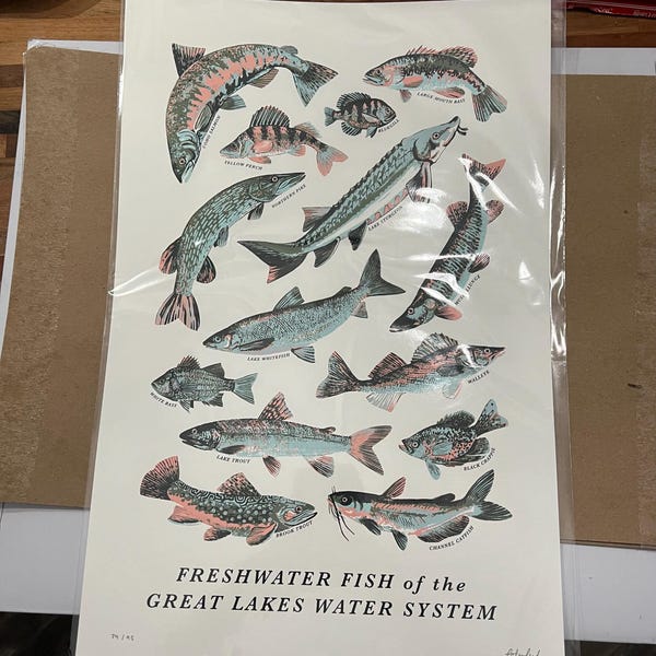 Freshwater Fish of the Great Lakes Water System Screenprint - Etsy