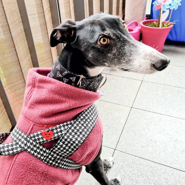 Greyhound Coat, Greyhound Fleece Coat, Dog Trench Coat, Fleece Dog ...