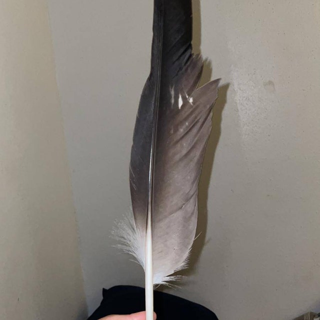 Greekraptorfeathers - Etsy