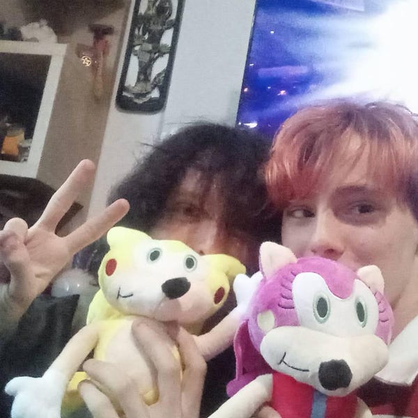 Sonichu and Rosechu COMBO -talking Plushes - Etsy