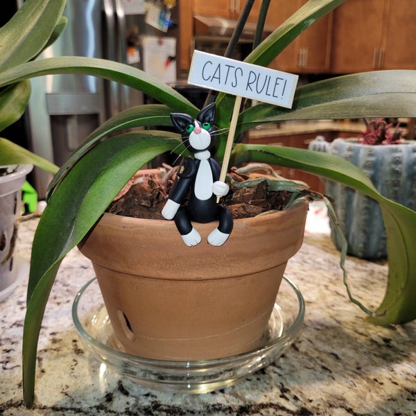 Cat Pot Sitter / Tuxedo Cat / Flower Pot Sitter / Cat Pot Hugger / Cat ...