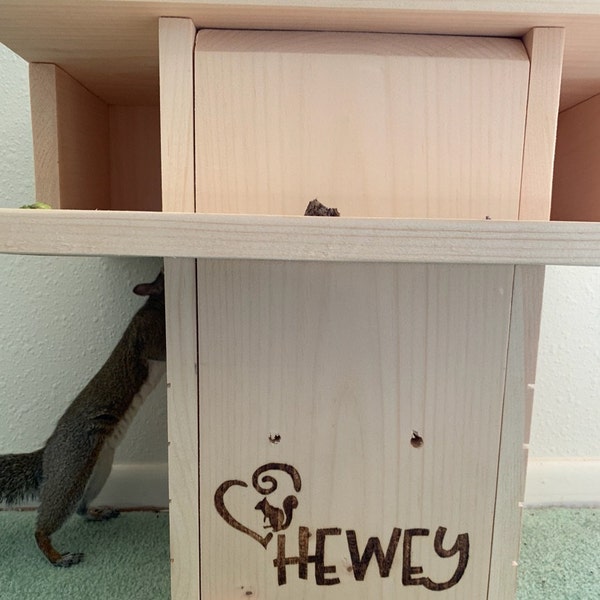 Squirrel House Safe Squirrel Nest Box Wildlife Rehab Approved Gray