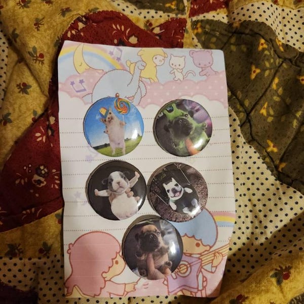 Pibble Dog Pinback Buttons - Puppy Meme Pins, Set of 5 - Etsy