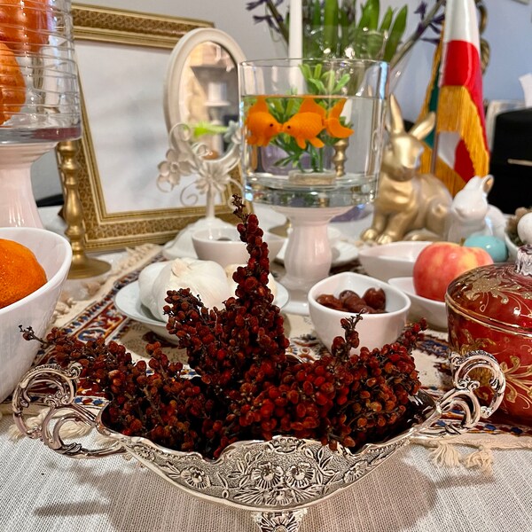 Walking Stick With Handle, Diamond Willow Wood, Rope Hand Grip N ...