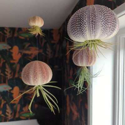 Rose 'fantastic at 60' Happy Birthday Rose Gift Wrapped With Huge Bow ...