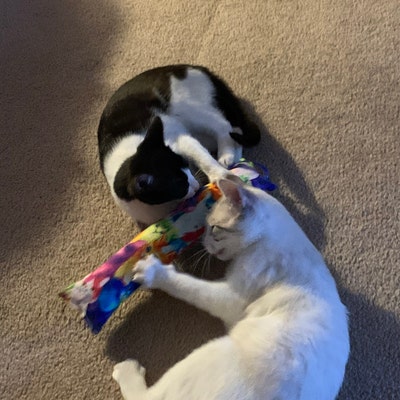 Large Cat Kicker Toy With Ribbons. 12 to 13 Long. Quality Catnip Silver ...