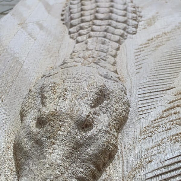 Swimming Crocodile 3D CNC Router Files, 3d Stl File, Vectric,aspire ...