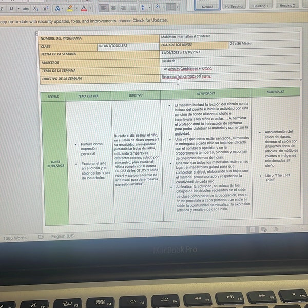 Editable Lesson Plan Templates in Microsoft Word and Google Docs ...