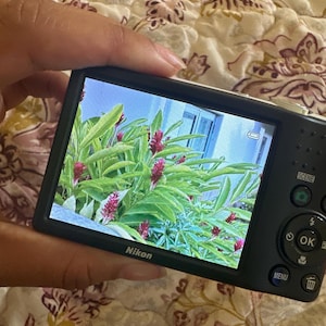 Canon ELPH IXUS • Titanium IX240 • Film Camera - Etsy