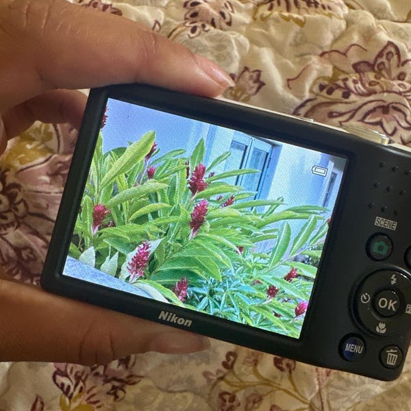 Canon ELPH IXUS • Titanium IX240 • Film Camera - Etsy