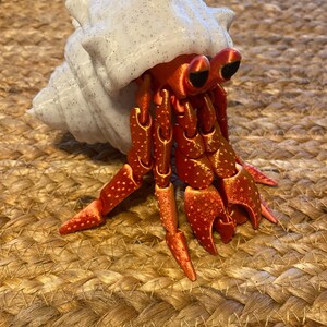 Hermit Crab Action Figure Flexible and Posable Complete With a Shell ...
