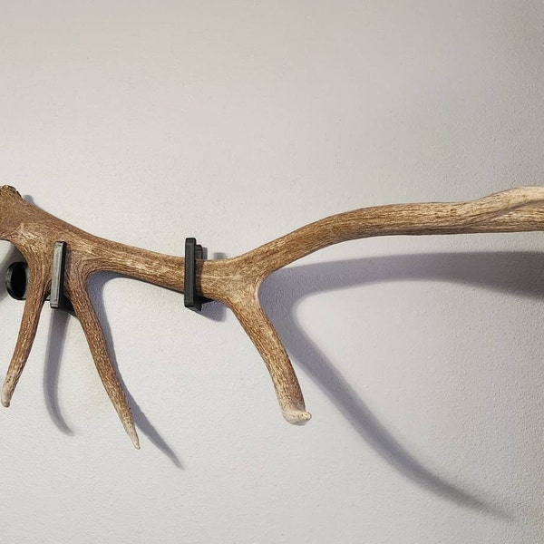 Elk Shed Mounts! Hang Your Elk Sheds With These Sturdy Mountable ...
