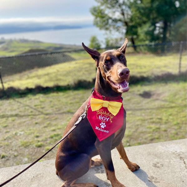 Medical EMS Dog Bandana Personalized, Ambulance Paramedics Over the Dog ...