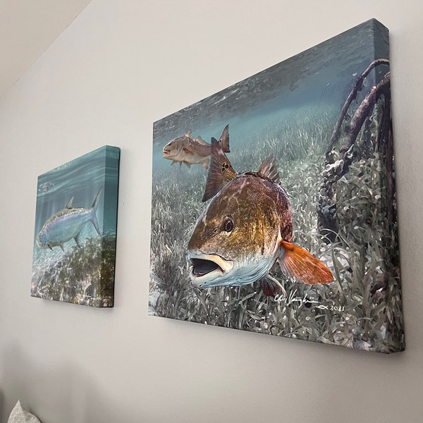 24x36 Florida West Coast Common Inshore & Nearshore Fishes Poster ...