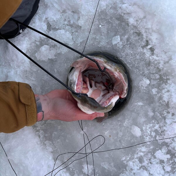 6 Pack Sitka Hunting Gear Vinyl Decal Sticker [9" W X 5" H ...