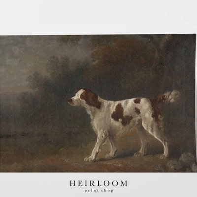 Vintage Dog Print Canvas Dog Art Print MAILED PRINTS Setter - Etsy