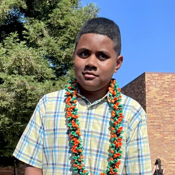 Pink Plumeria Paradise Hawaiian Ribbon Lei,graduation Lei,anniversary ...