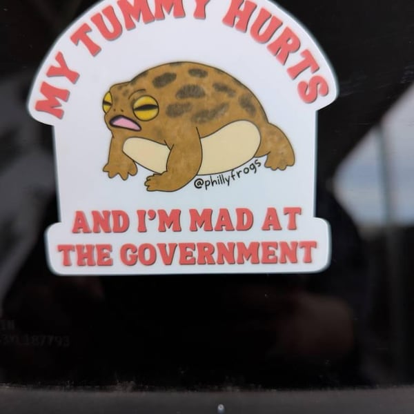 My Tummy Hurts and I’m Mad at the Government - Screaming Desert Rain ...