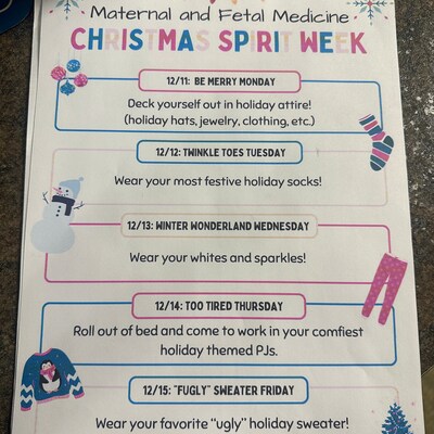 Christmas Spirit Week Flyer Printable School Spirit Flyer Editable Pto ...