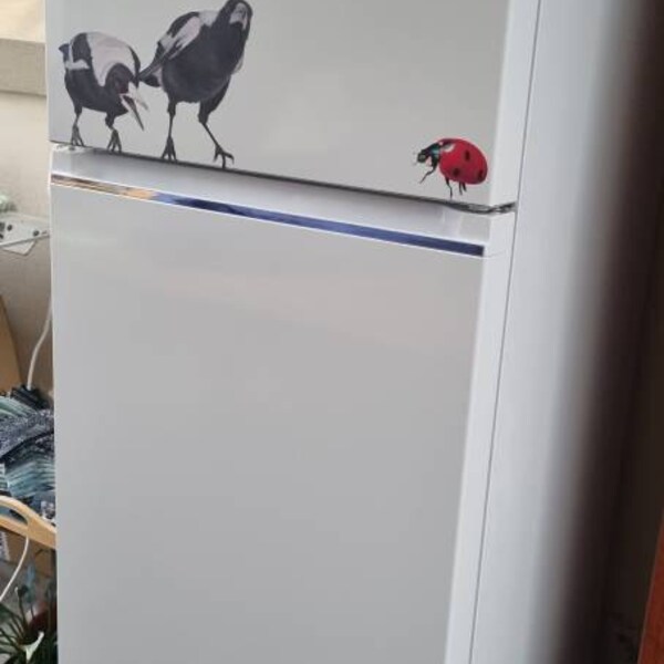 Crow Decal, Flying Raven Vinyl Decal, Bird Lover Gift, Illustrated ...