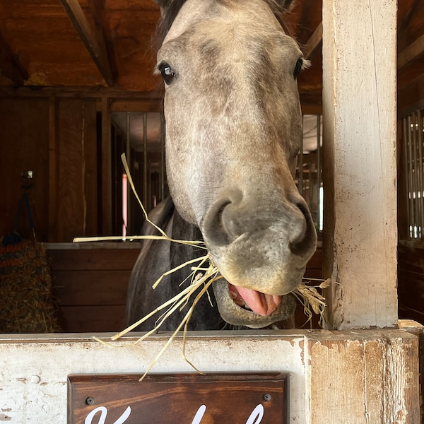 Horse Stall Sign, Stable Name Plate, Barn Name Sign, Horse Stall Name ...