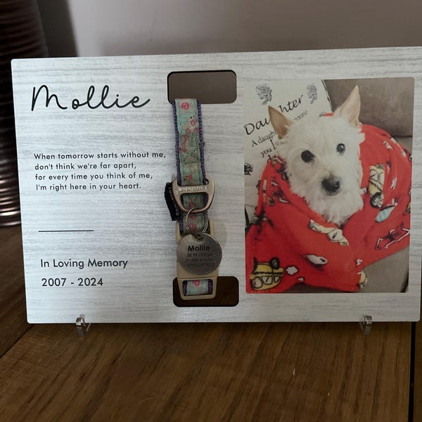 Custom Pet Memorial Urn With Personalized Photo Frame Elegant Tribute ...