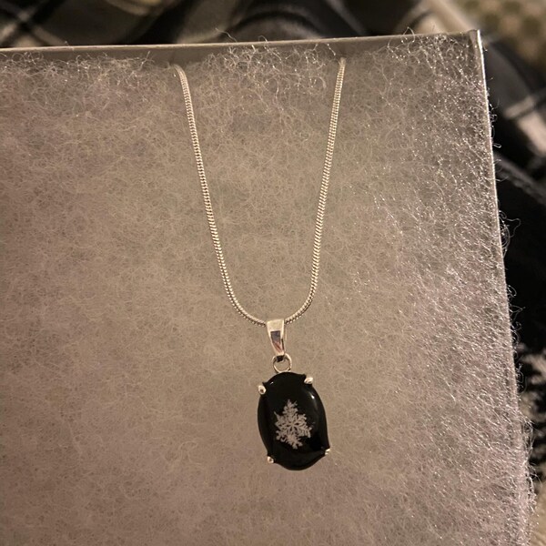 Real Snowflake Preserved - Artist Danielle Oliver - Captured Real ...