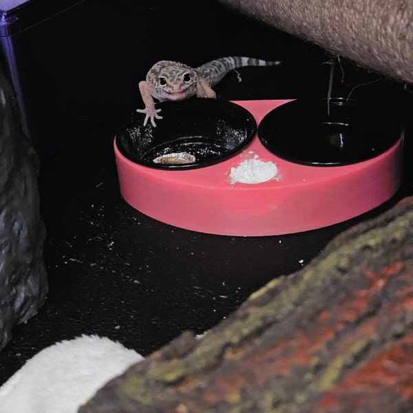 Leopard Gecko Hide, Moist Hide Lay Box, and Feeding Station - Etsy