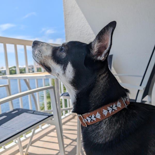 UGLY Bells for Pet Collar Chipped Jingle Bell for Cat Collar Character ...