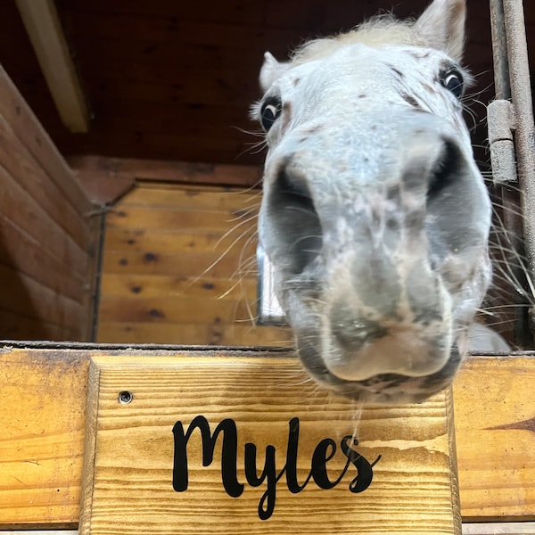 Horse Stall Sign, Stable Name Plate, Barn Name Sign, Horse Stall Name ...
