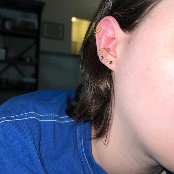 Snake Hinged Segment Hoop Earring, 16g Snake Cartilage Hoop, 16g Snake ...