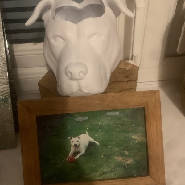 French Bulldog Frenchie Planter Plant Pot . 3D Printed - Etsy