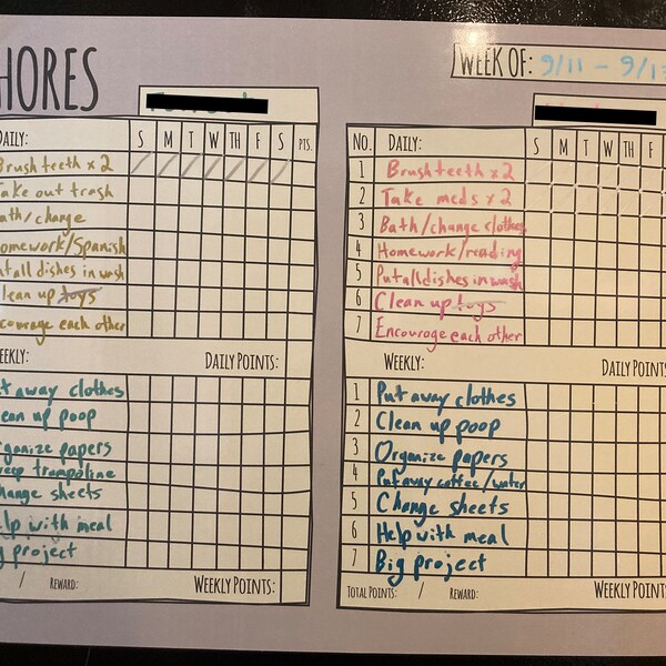 Multiple Child Chores Chart for Kids - 2 Kid Dry Erase Daily Weekly ...
