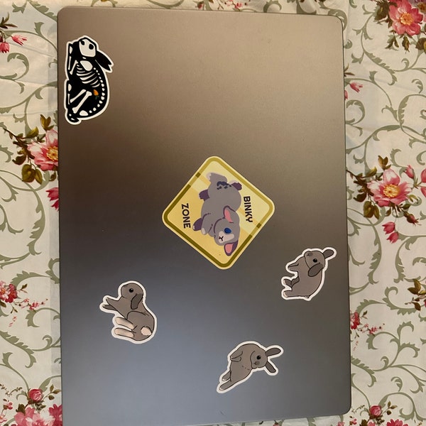 X-ray Rabbit Sticker With Carrot; Bunny Skeleton Sticker, Halloween ...