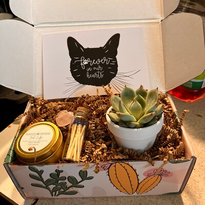 CAT SYMPATHY GIFT Loss of Cat Cat Loss Sympathy Gift Sorry for Your ...