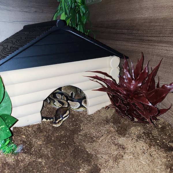 TORTOISE Log Cabin Reptile Hide, Whimsical Vivarium Accessory for Pet ...