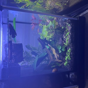 Aquaneat LED Light Riser, Attractive Stable Elevated Stand, Quality LED ...