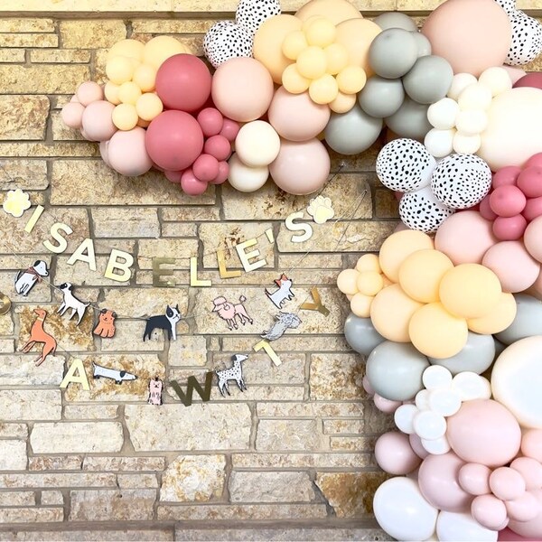 Bow Wow Large Plates Mixed Pack 8 Pack Bow Wow Party Supplies Puppy ...