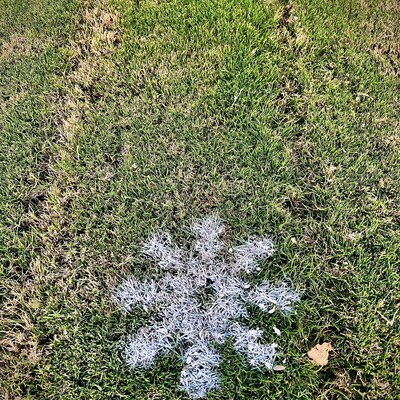 Scratch Marks Stencil Monster Scratch Stencil Tiger Scratch Stencil ...