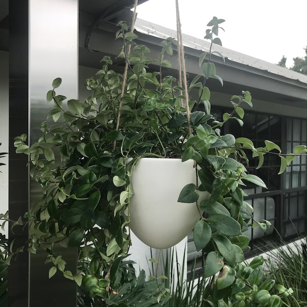 Bloom Pendant Light, Porcelain Translucent Light Fixture, Organic ...