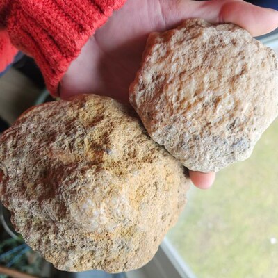 8lbs of Carthage TN Unopened Geodes/agates/nodules Lapidary Break or ...