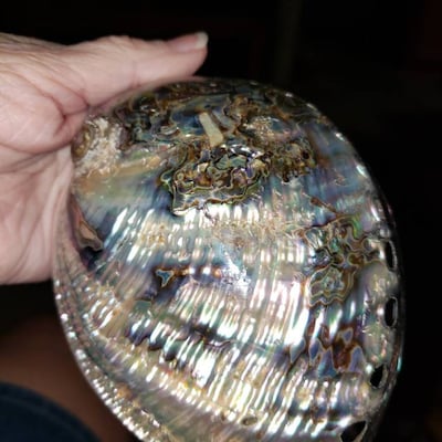 Fish Eye Jasper Tower - Etsy